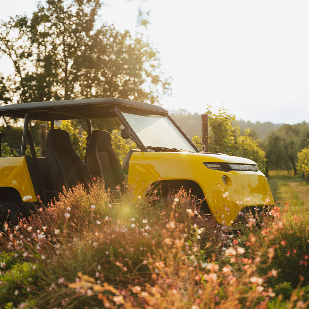 Opensky – Tazzari Zero